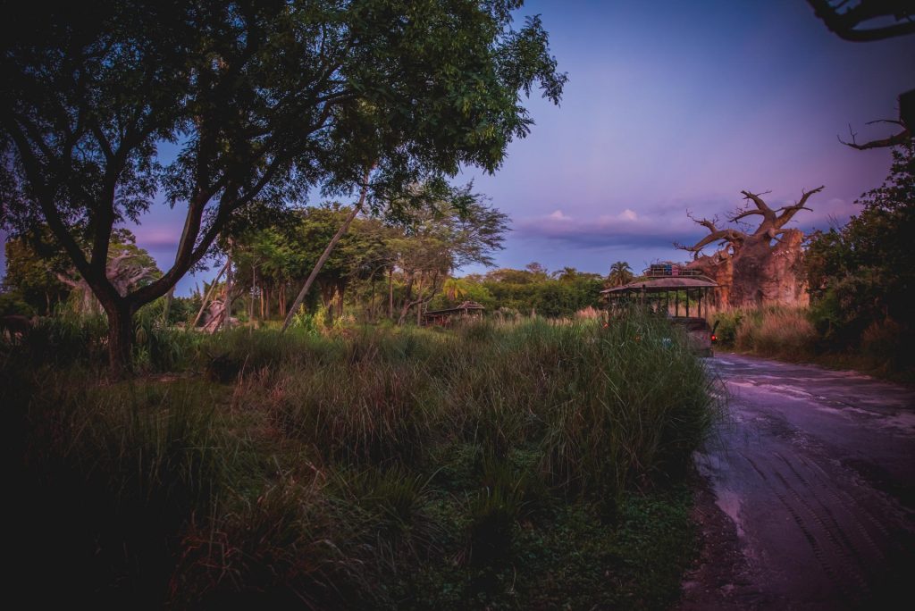A Guide To Nighttime Attractions At The Animal Kingdom - The Bucket ...