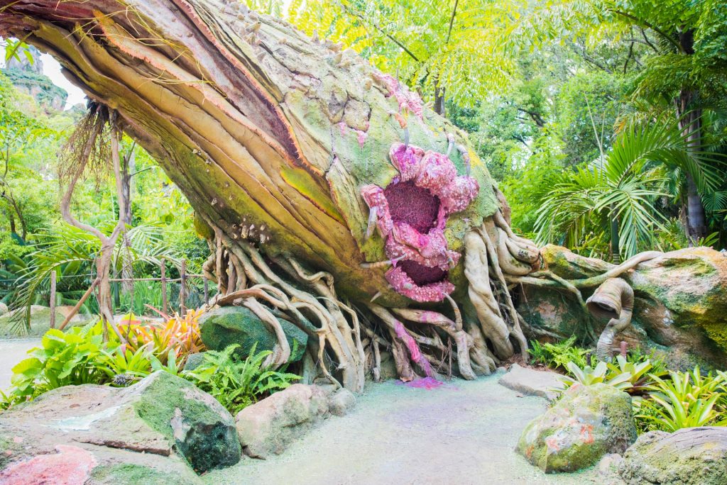 A Guide To Pandora - The Bucket List Narratives