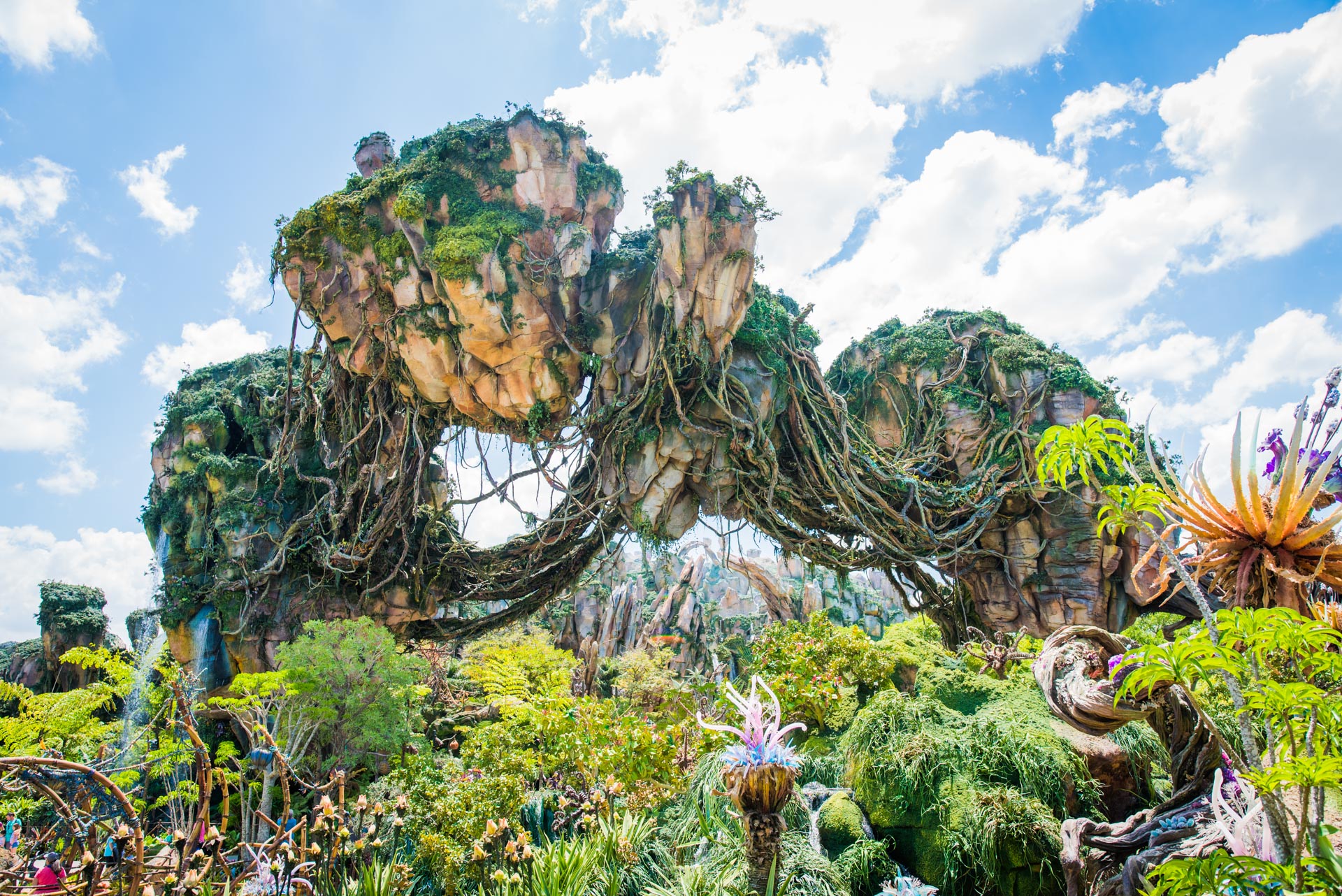 A Guide To Pandora - The Bucket List Narratives